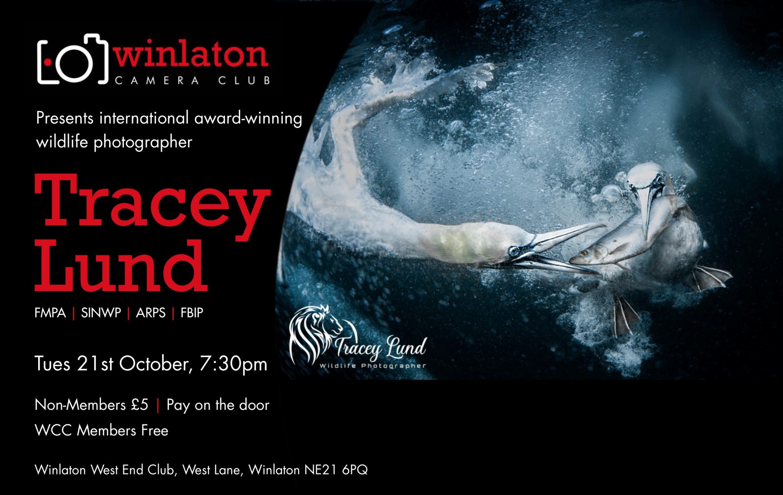 Tracey Lund - Wildlife Photographer - Winlaton Camera Club